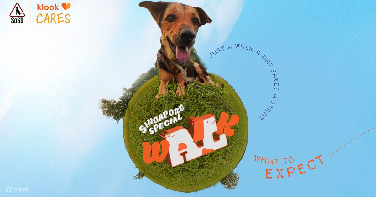 [Klook Cares] Singapore Special Walk with SOSD - Klook Singapore